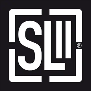 LEIDERSCHAPSTRAINING: SLII® EXPERIENCE - Blanchard Nederland